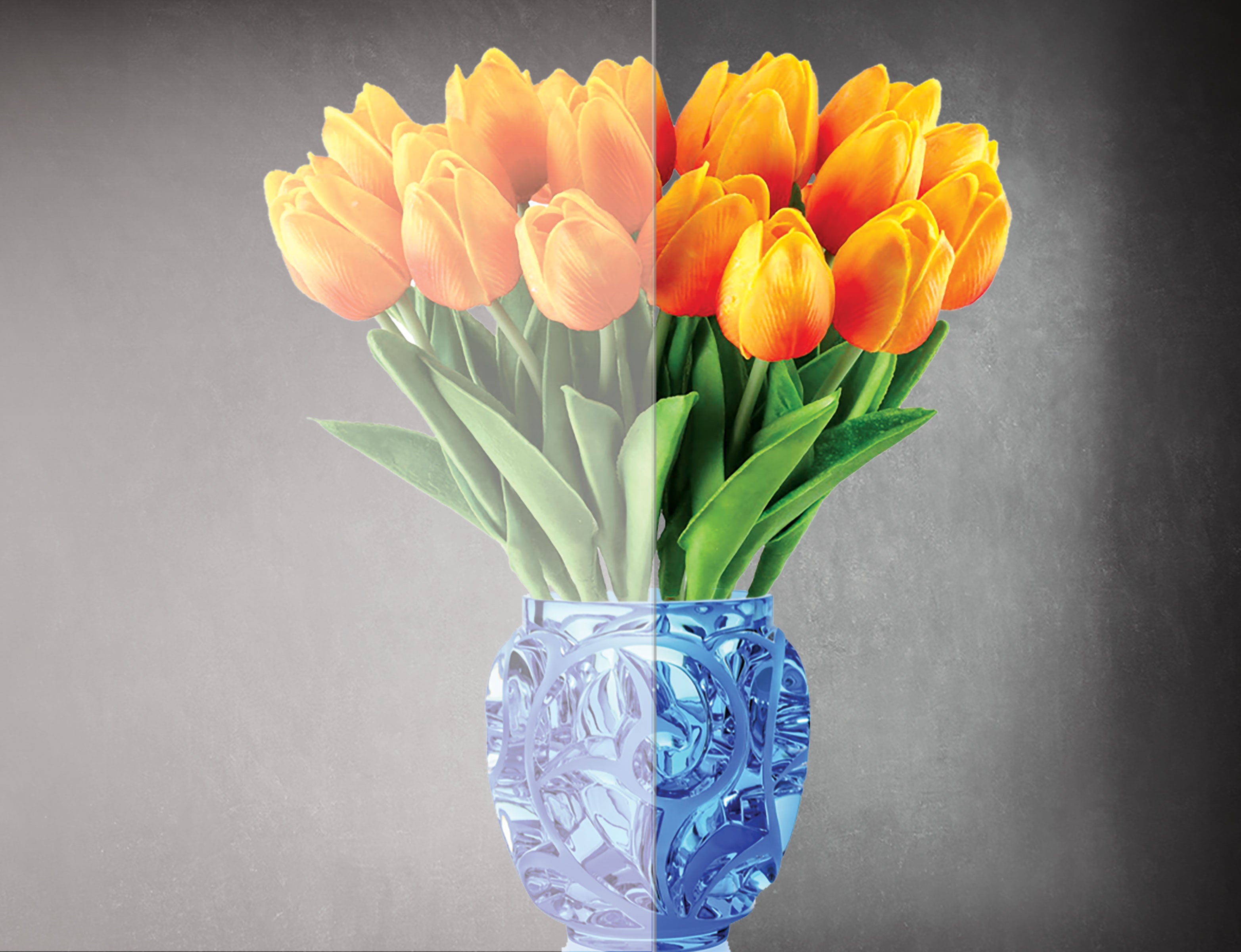 Privacy & Window Film - Gradient Film 3 - DesignedFilm.com