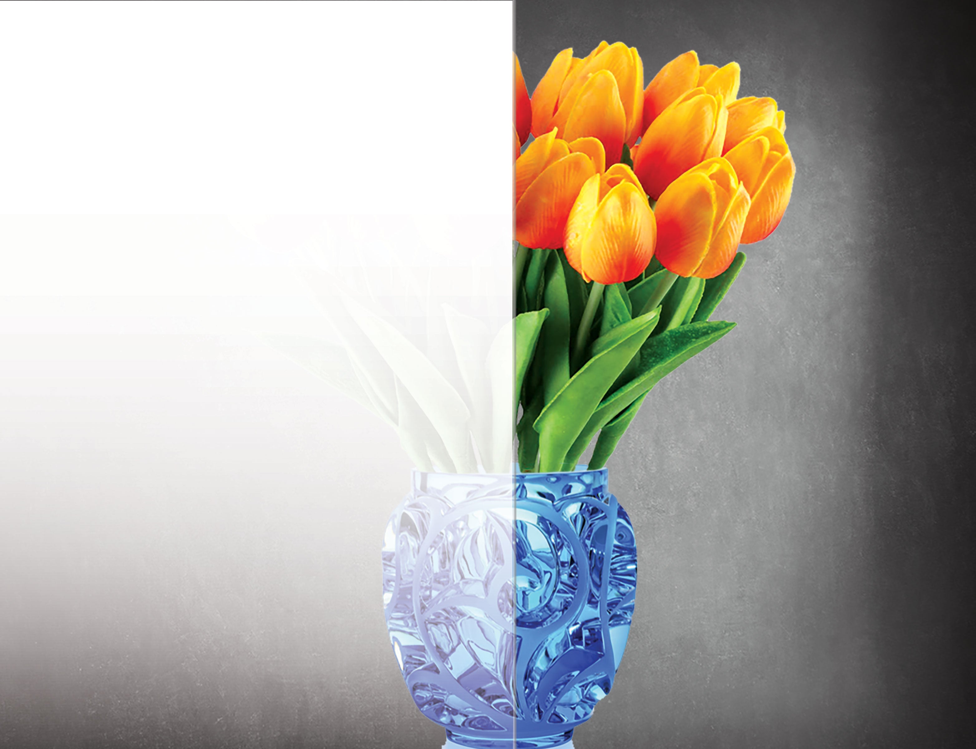 Privacy & Window Film - Gradient Film 4 - DesignedFilm.com