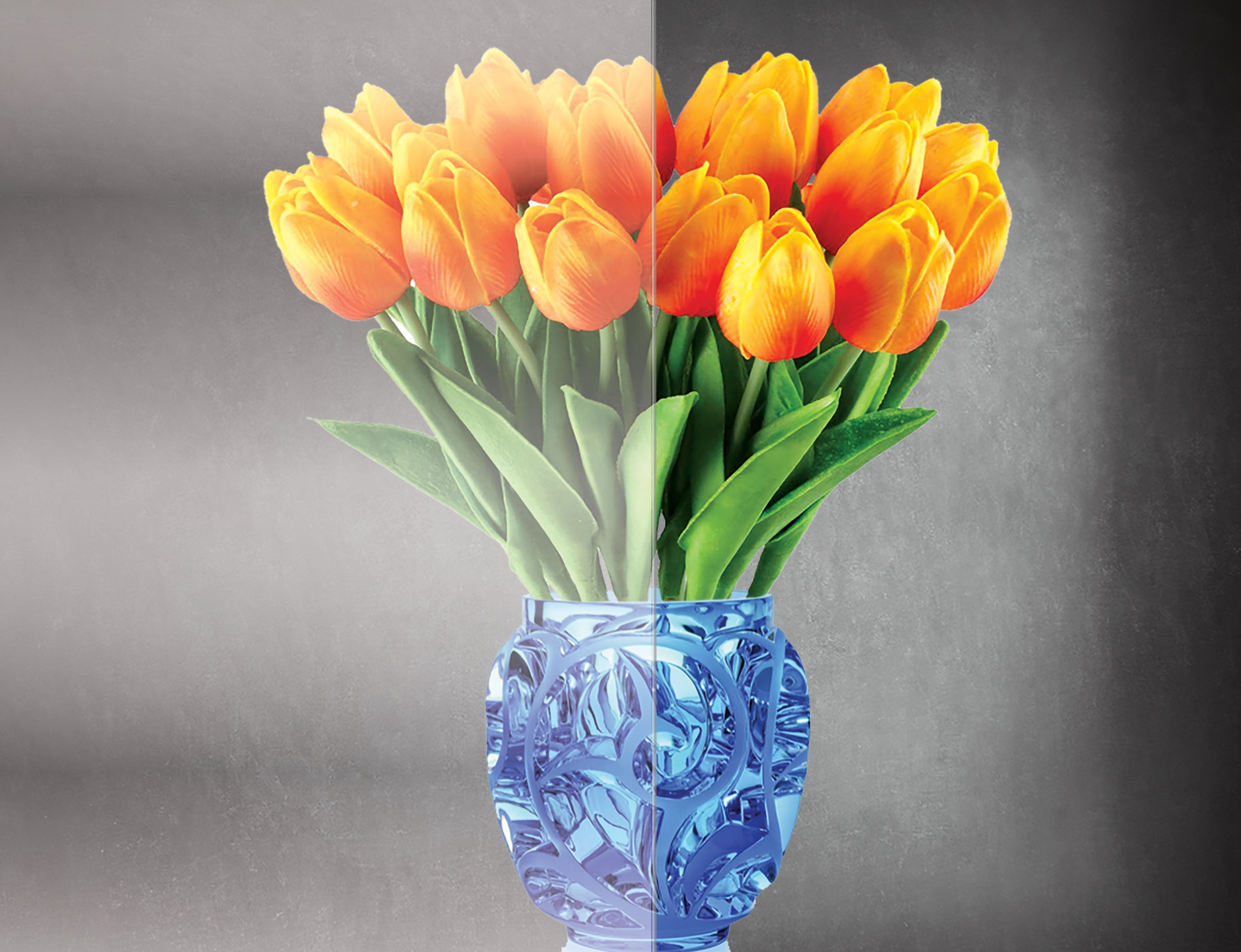 Privacy & Window Film - Gradient Film 5 - DesignedFilm.com
